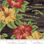 Collections Sunshine